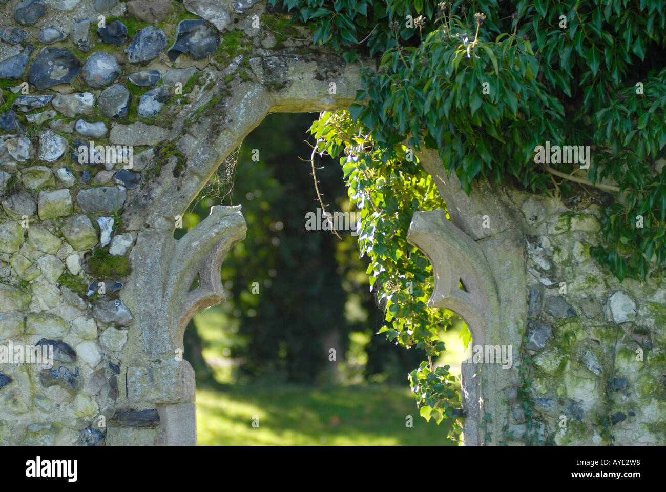 Cluniac Priory ruins Thetford Norfolk UK Stock Photo - Alamy