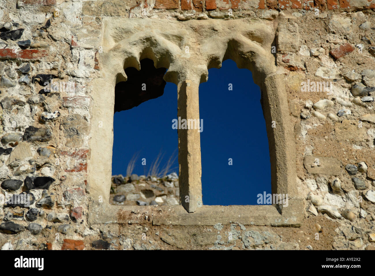 Cluniac Priory ruins Thetford Norfolk UK Stock Photo - Alamy