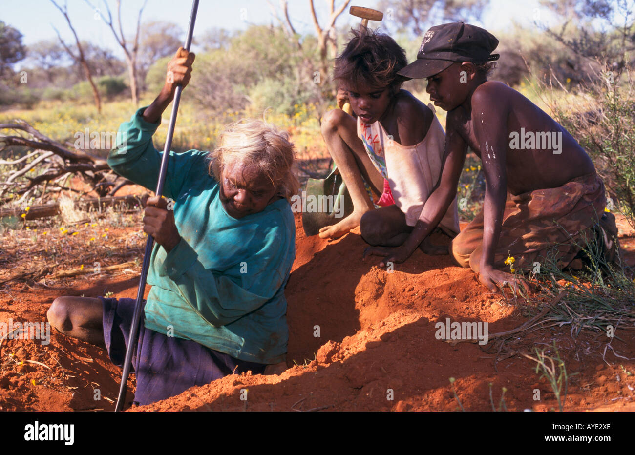 Digging for honey ants outback Australia Stock Photo - Alamy