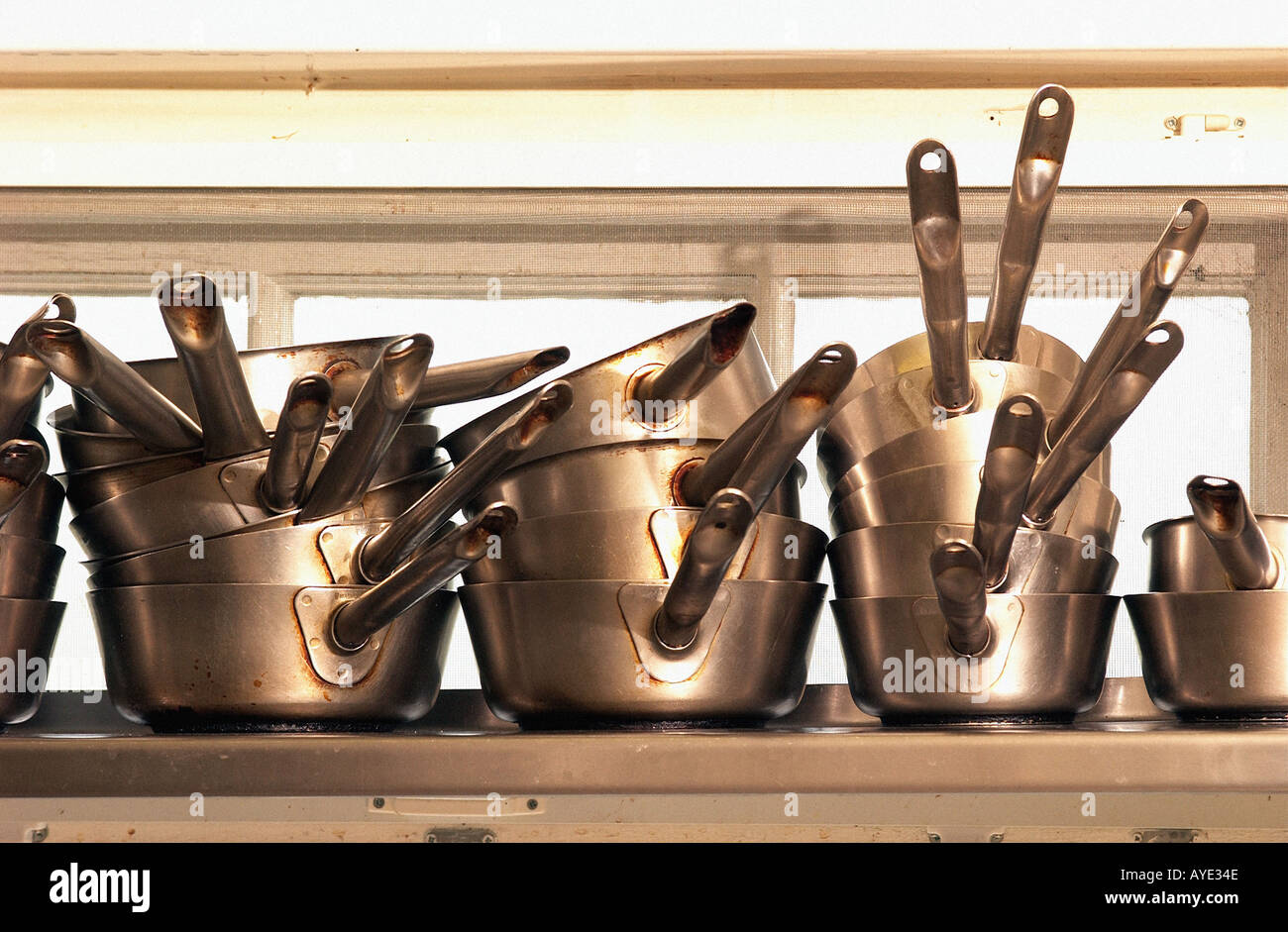 What Pans Do Chefs Use In Restaurants at Petra Ward blog