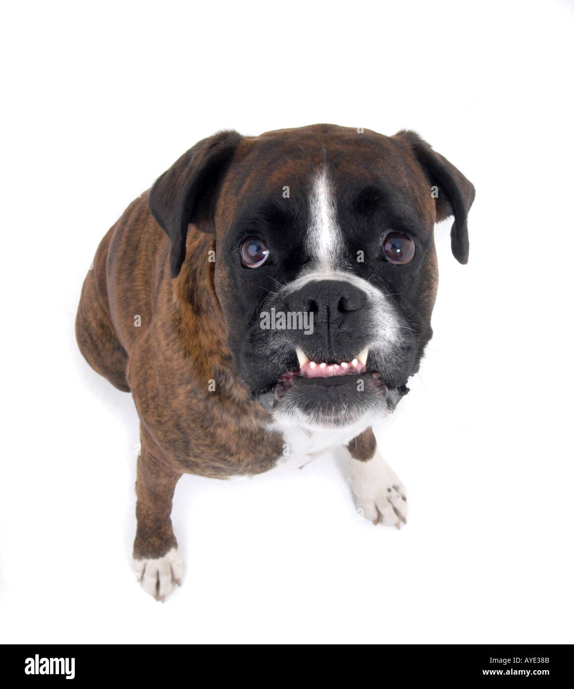 Best attitude hi-res stock photography and images - Alamy