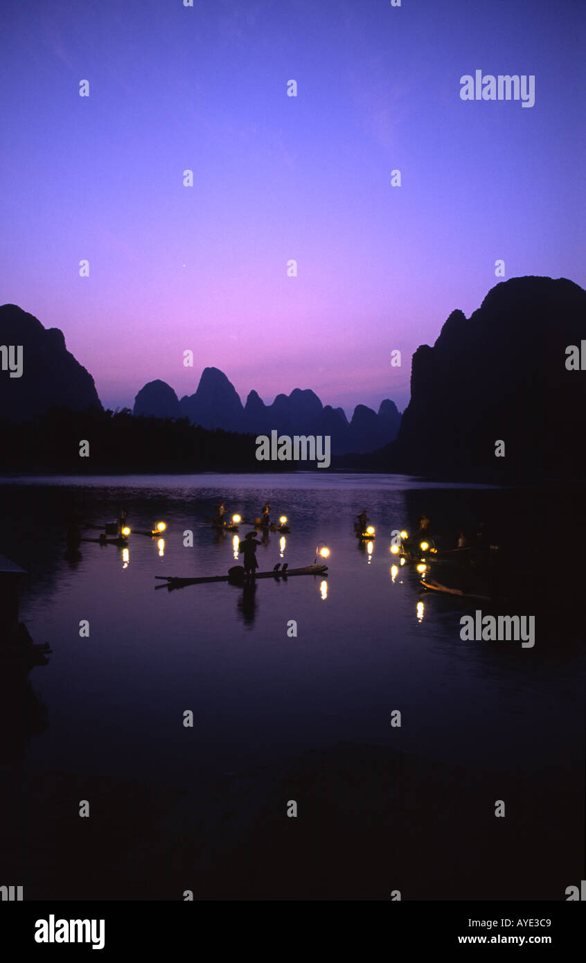 Cormorant outline hi-res stock photography and images - Alamy