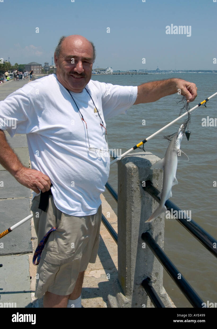 Hammerhead shark mouth hi-res stock photography and images - Alamy