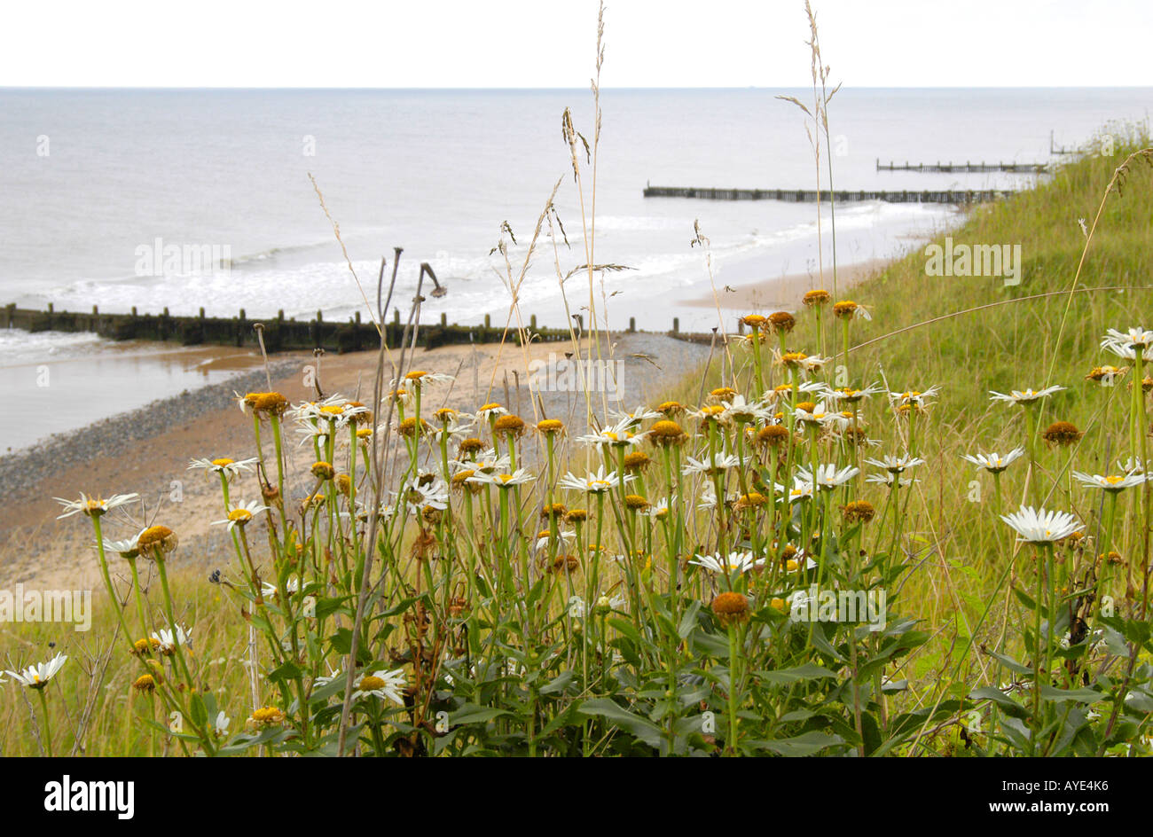 Overstrand beach Norfolk UK Stock Photo - Alamy