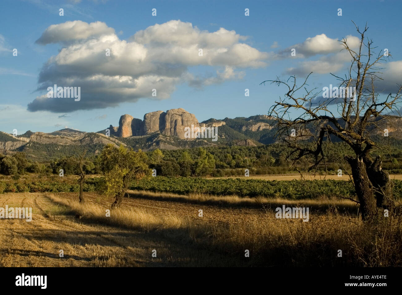 Landscape roques de benet hi-res stock photography and images - Alamy