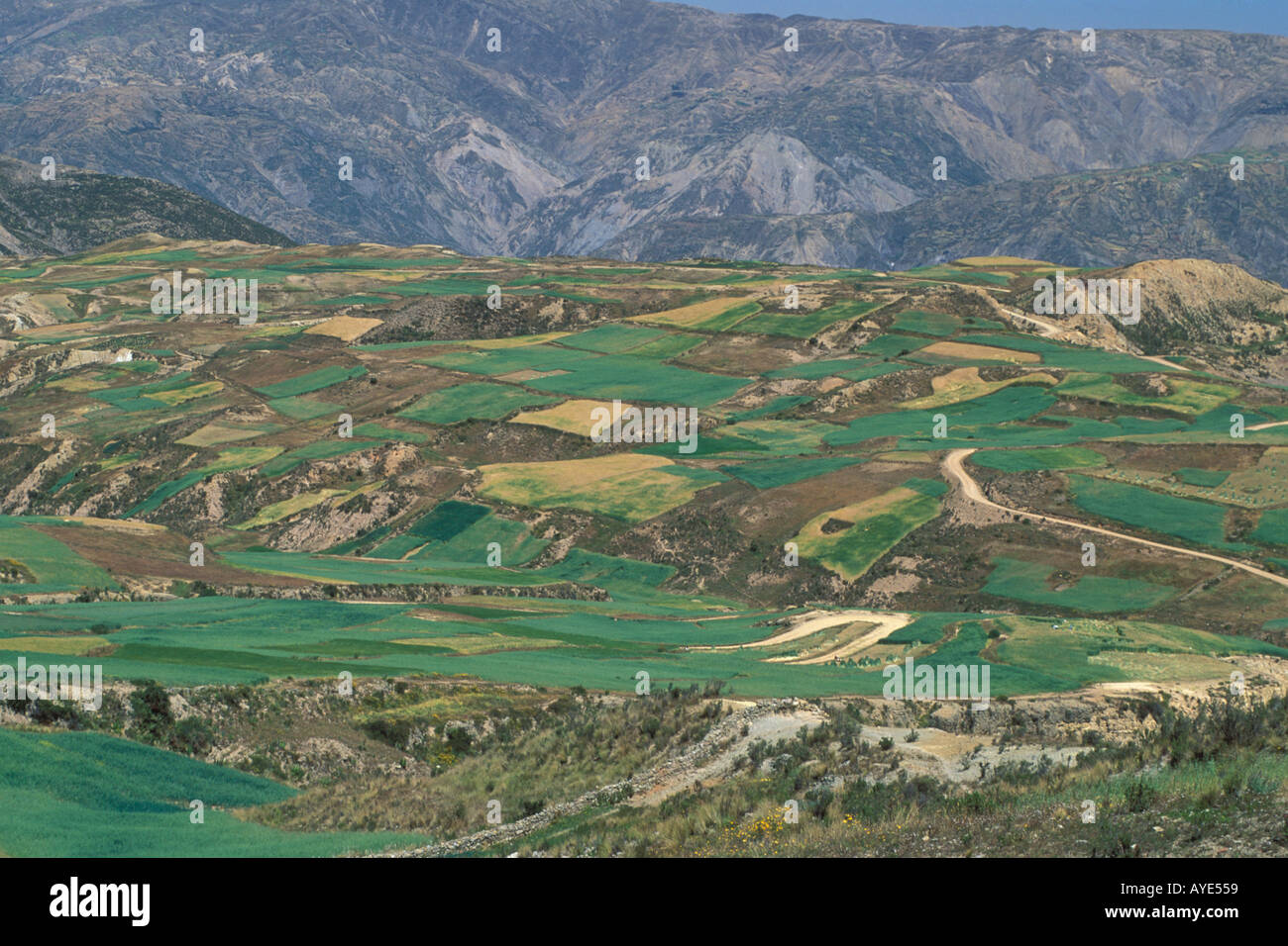Agricultural plots hi-res stock photography and images - Alamy