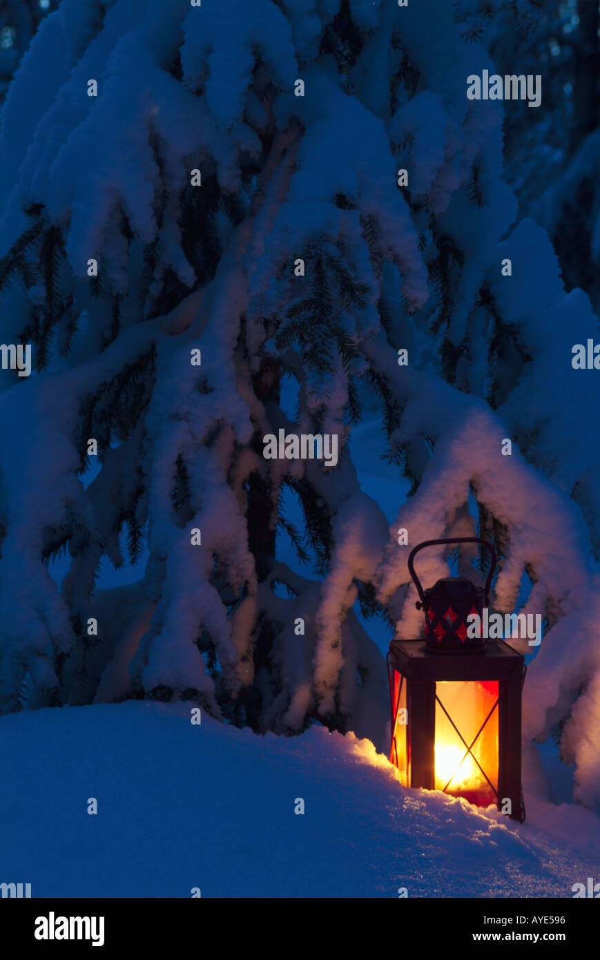 Lamp in the forest Stock Photo - Alamy