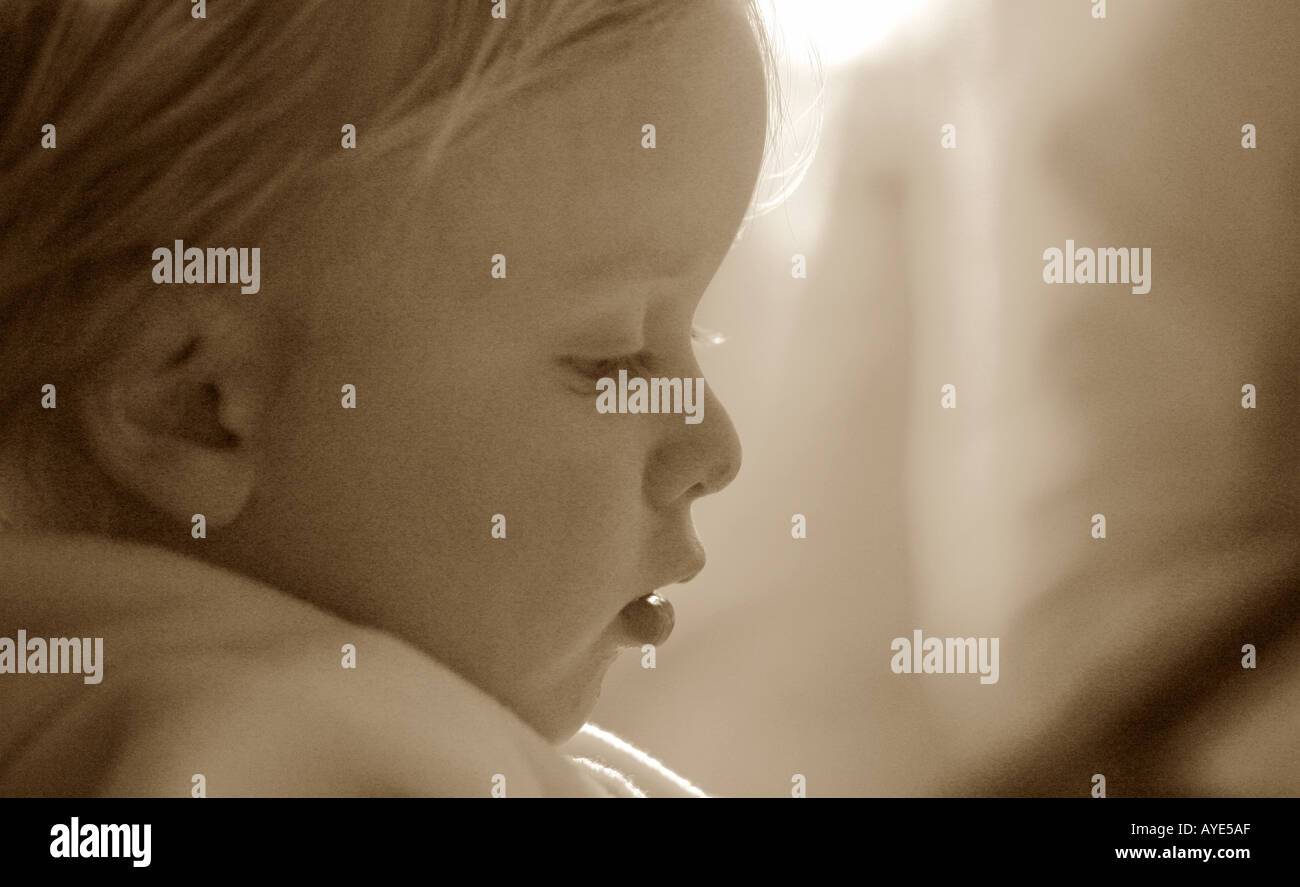 Light sepia hi-res stock photography and images - Alamy