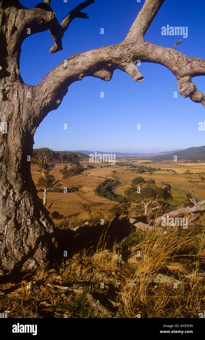 Rural scene, Tasmania, Australia Stock Photo - Alamy