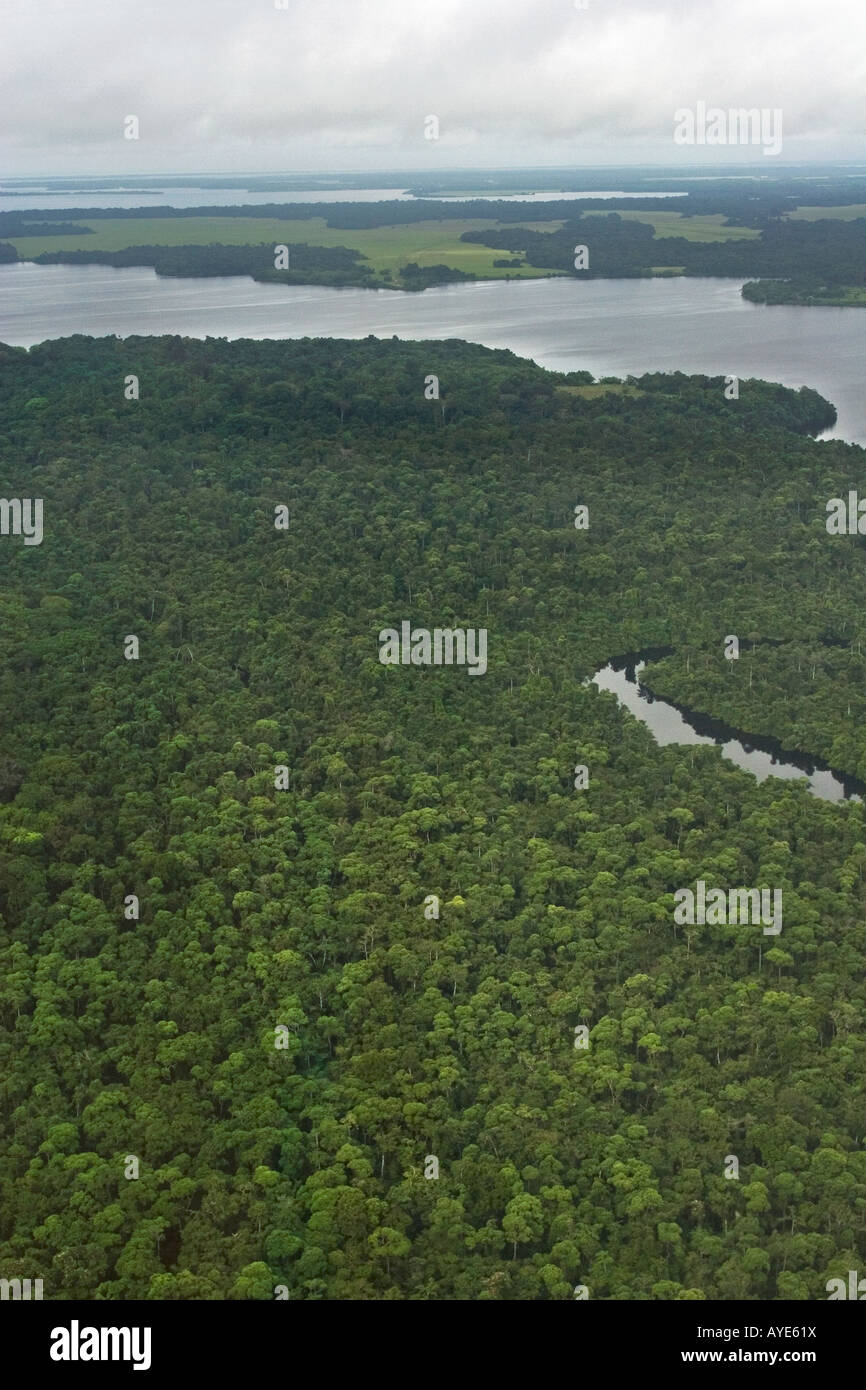 Gabon rainforest aerial hi-res stock photography and images - Alamy