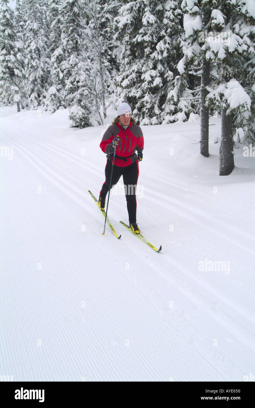 Cross country skier Stock Photo - Alamy