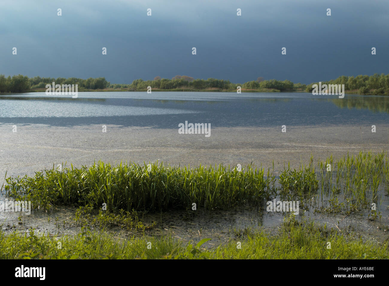 Spring storm clouds gather over Fendrayton nature reserve Stock Photo ...
