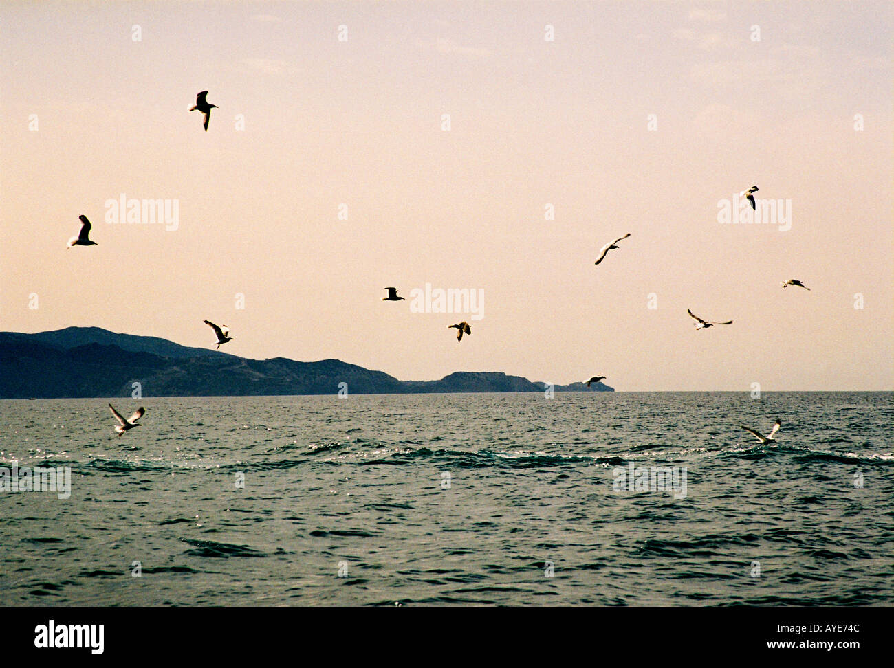 Dia Island, Crete Stock Photo - Alamy