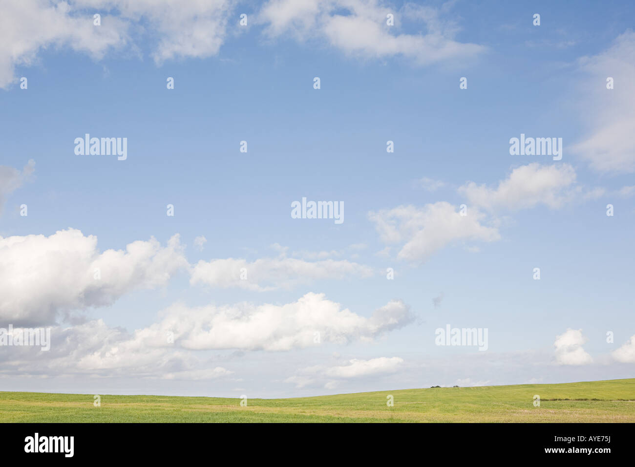 Cloudy sky over a field Stock Photo - Alamy