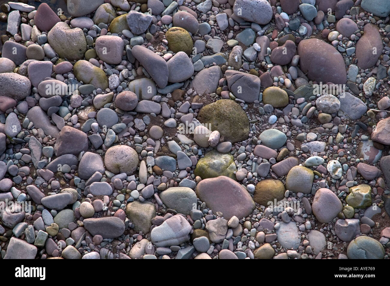 River shingle bed hi-res stock photography and images - Alamy