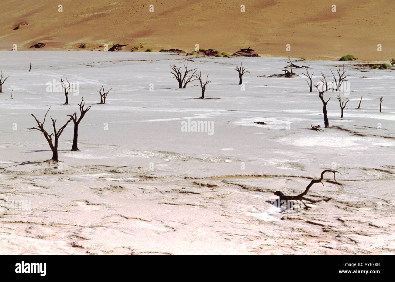 Dead Vlei Namib Desert Namibia Southern Africa Stock Photo - Alamy