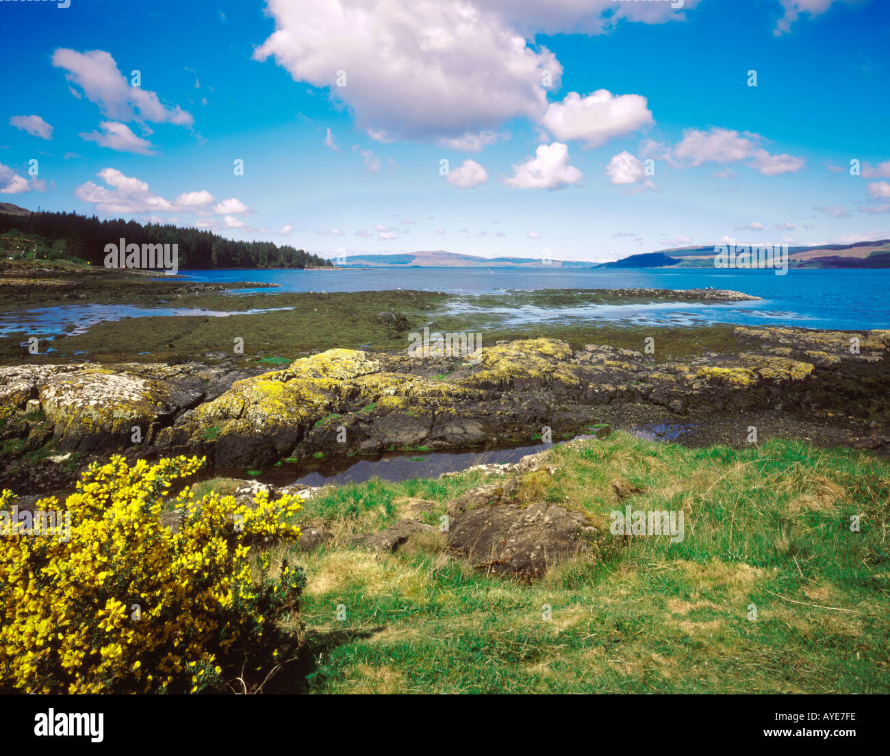 Sound of Mull form Fishnish Isle of Mull Scottish Highlands UK Stock ...