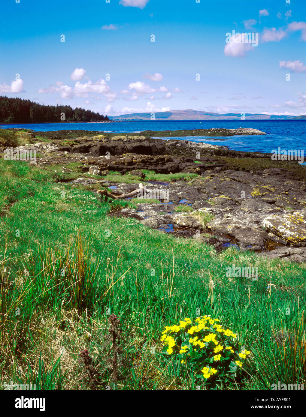 Sound of Mull form Fishnish Isle of Mull Scottish Highlands UK Stock ...