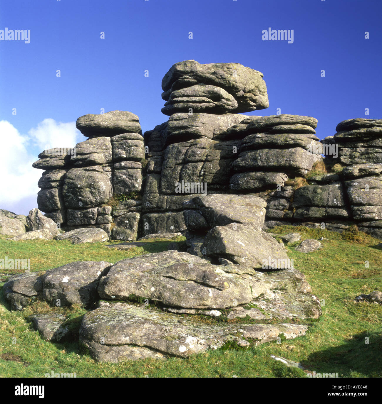 Dartmoor national park very popular with visitors hi-res stock ...