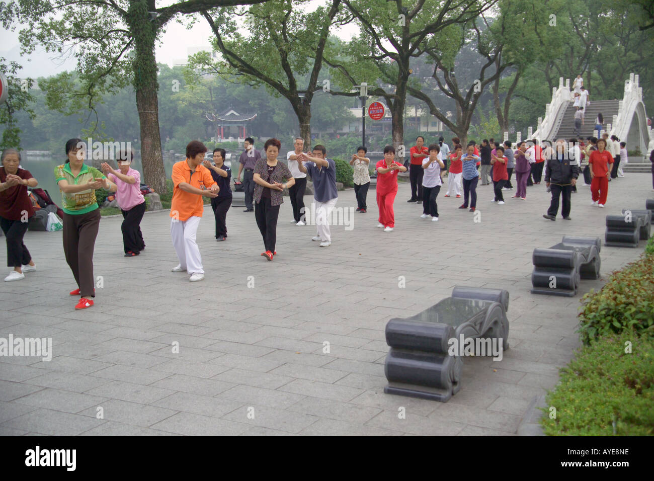 early morning Tai Chi group practice Stock Photo - Alamy