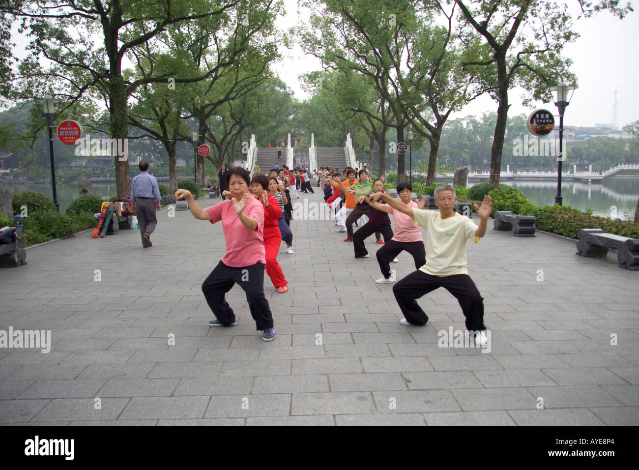 early morning Tai Chi group practice Stock Photo - Alamy