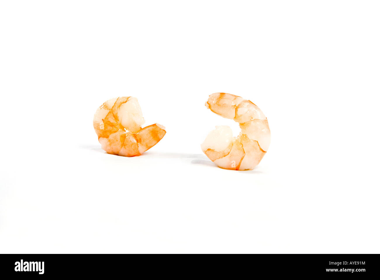 The crazy prawn hi-res stock photography and images - Alamy
