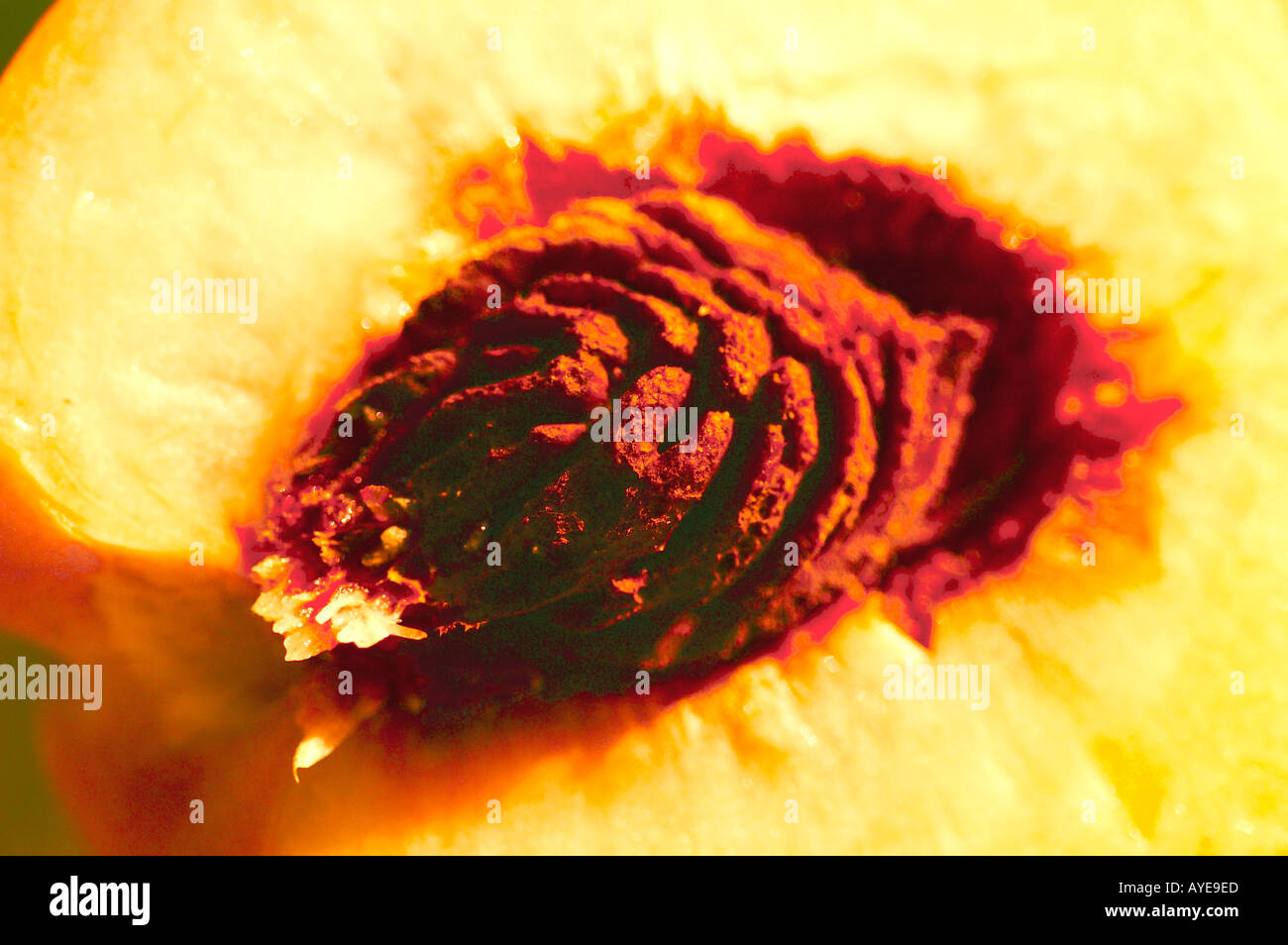 Eaten peach hi-res stock photography and images - Alamy