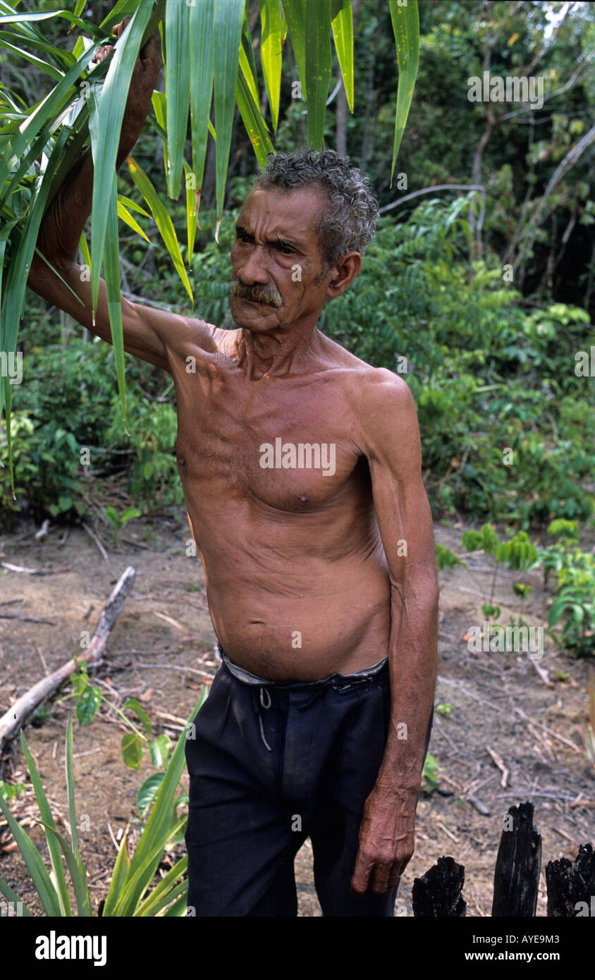 River Amazon Older man on land he cultivates Stock Photo - Alamy