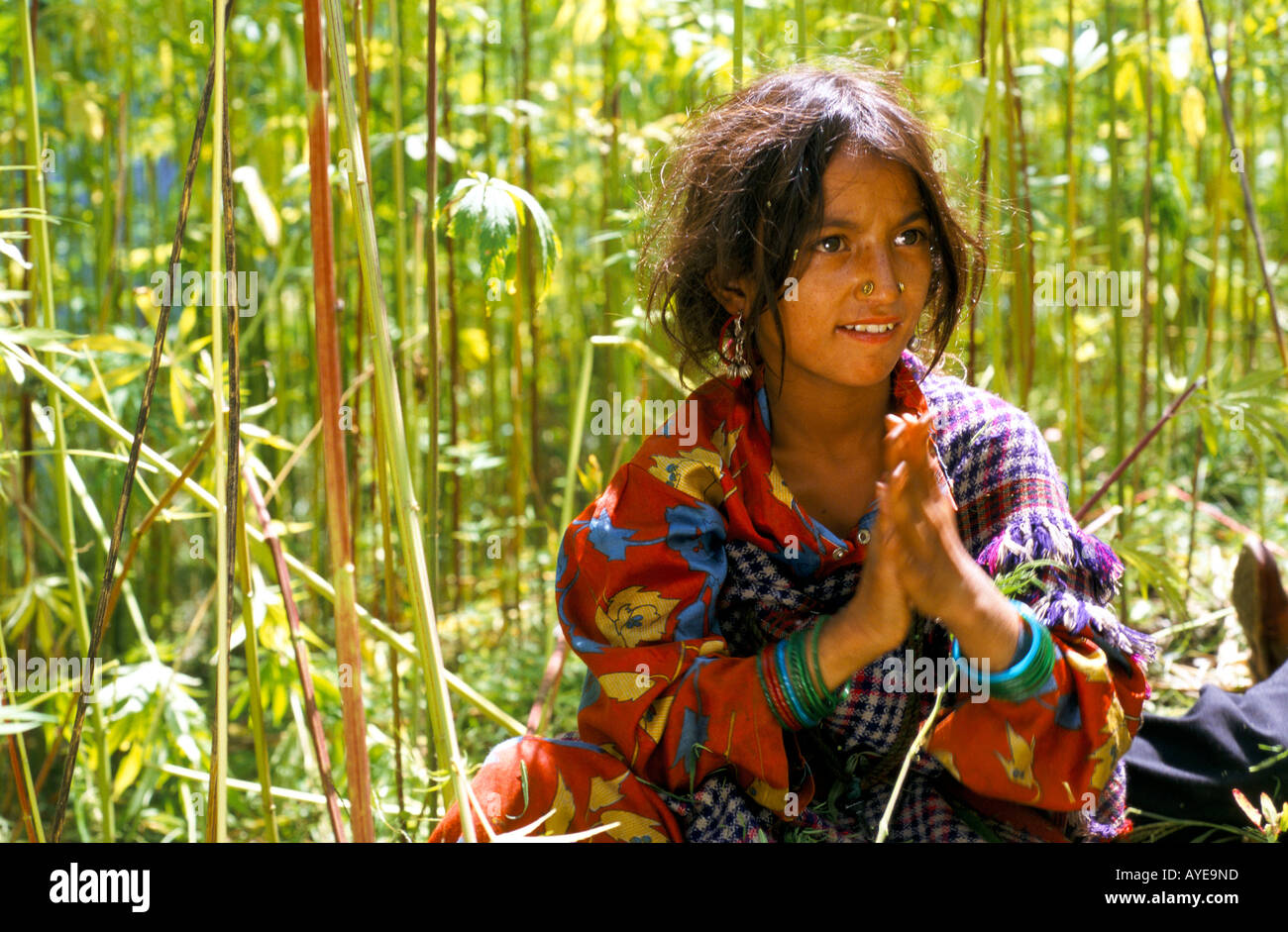 India Himachel Pradesh 1998 A young woman from Malana village rubs ...