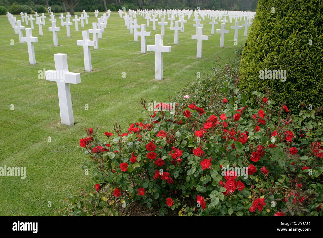 Ww2 graveyards hi-res stock photography and images - Alamy