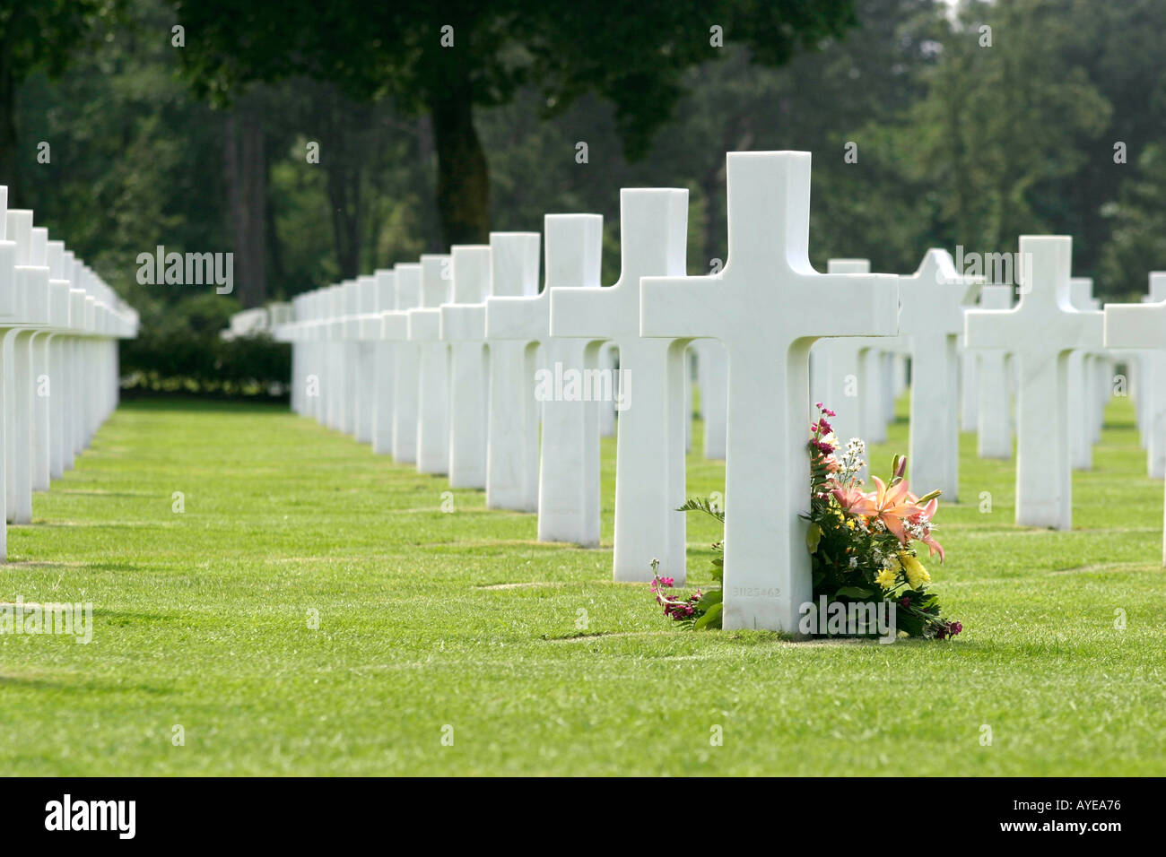 Ww2 graveyards hi-res stock photography and images - Alamy