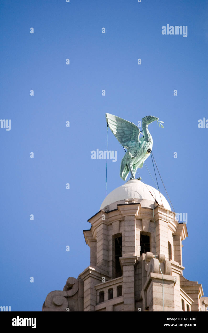 Liver bird on top of Liver building, Liverpool, England, UK Stock Photo ...