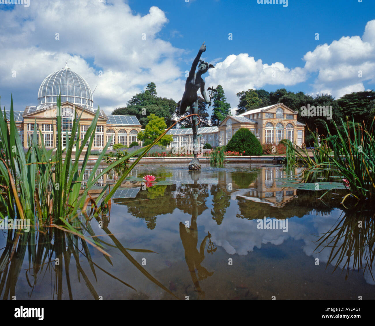 Great Conservatory, Syon House, Middlesex, UK Stock Photo - Alamy