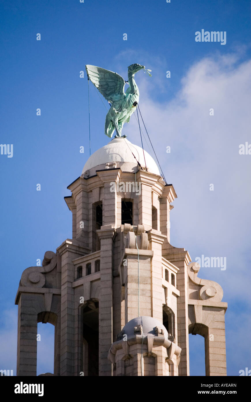 Liver bird on top of Liver building, Liverpool, England, UK Stock Photo ...