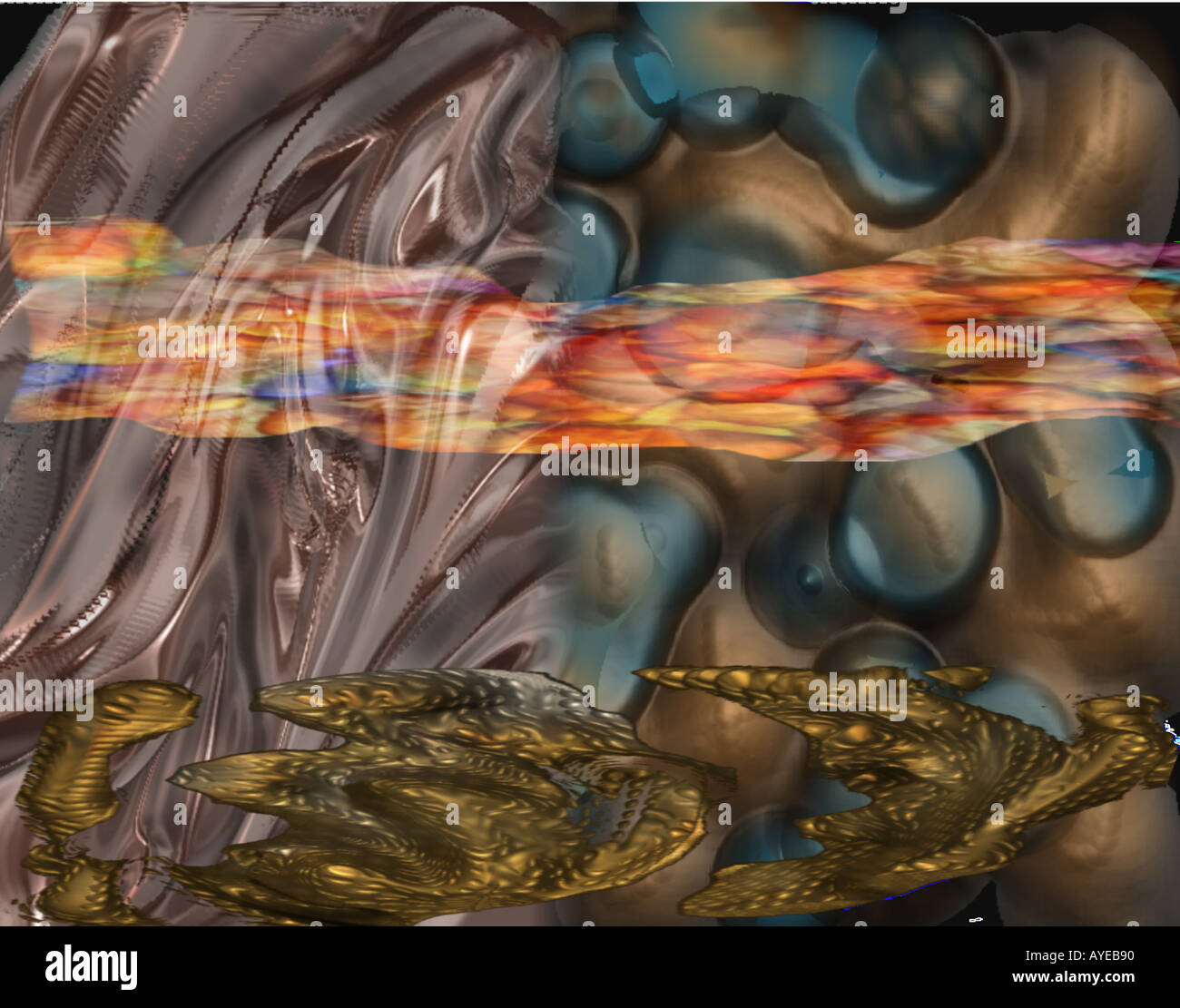 Evolution of life forms hi-res stock photography and images - Alamy