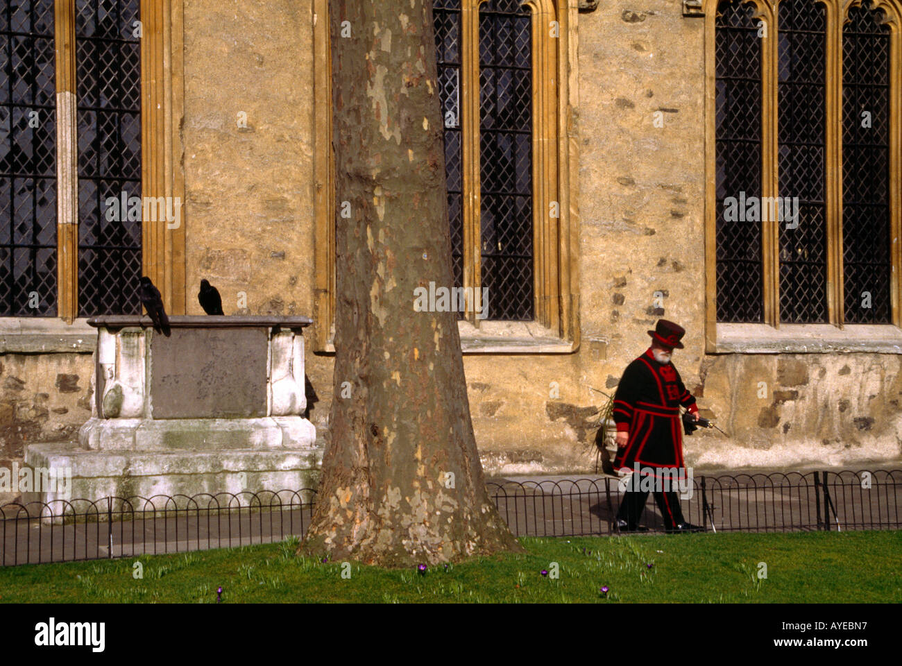 London England Tower Of London Yeoman And Ravens Stock Photo - Alamy