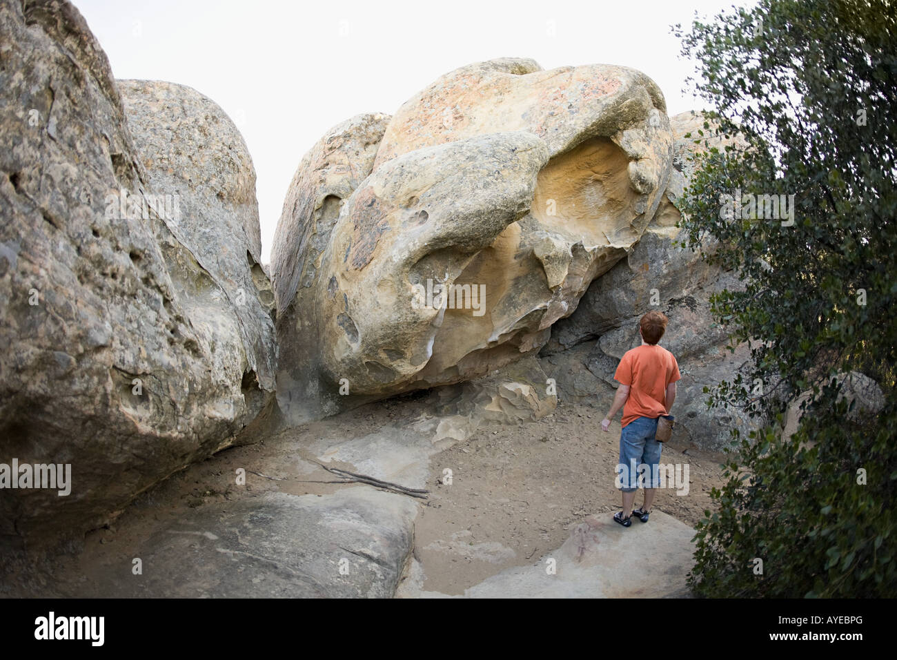 Rock climber looking at rocks Stock Photo - Alamy