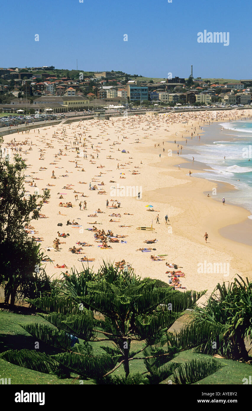 Busy bondi beach hi-res stock photography and images - Alamy