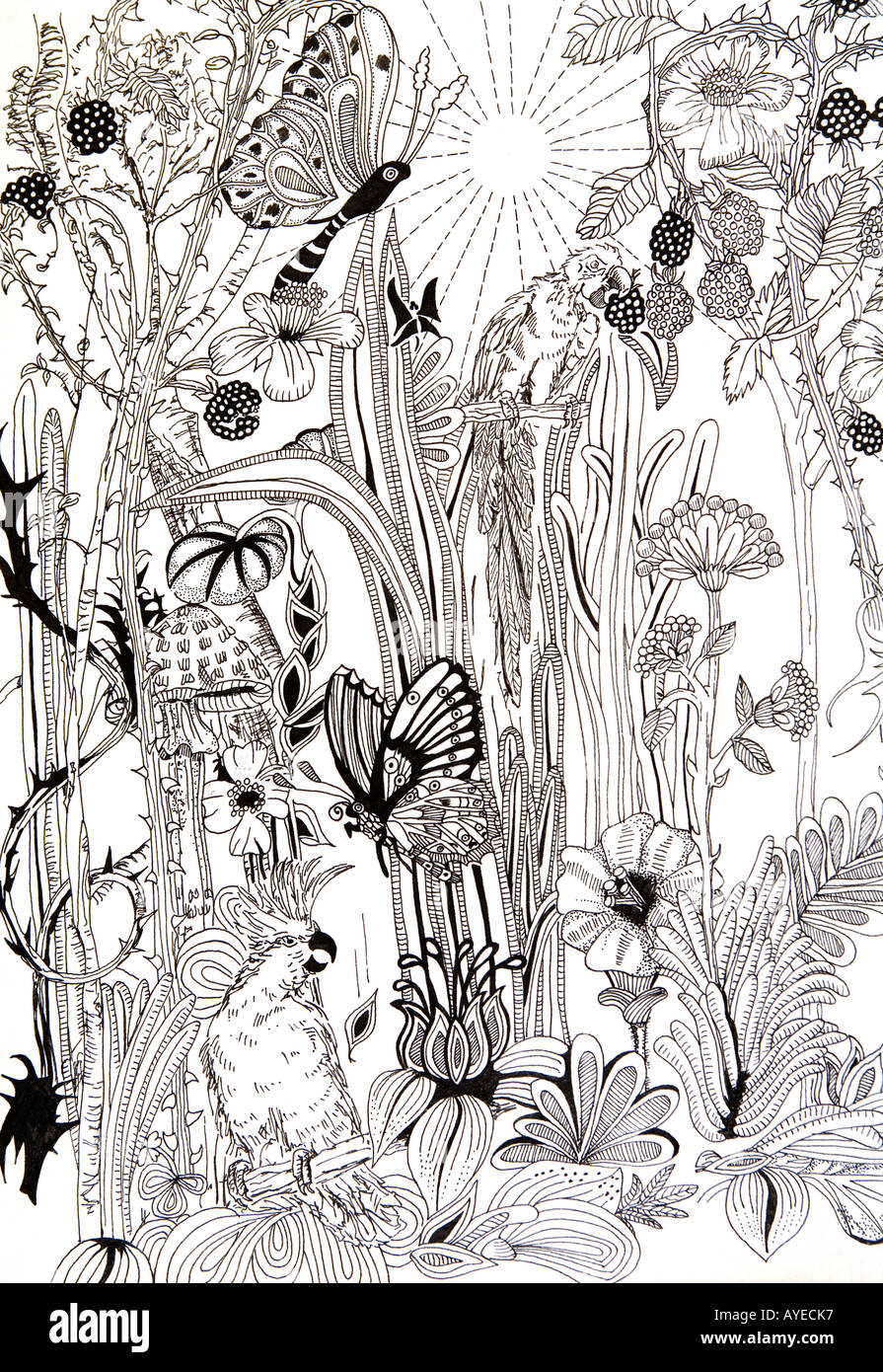 line illustration bountiful nature Stock Photo - Alamy