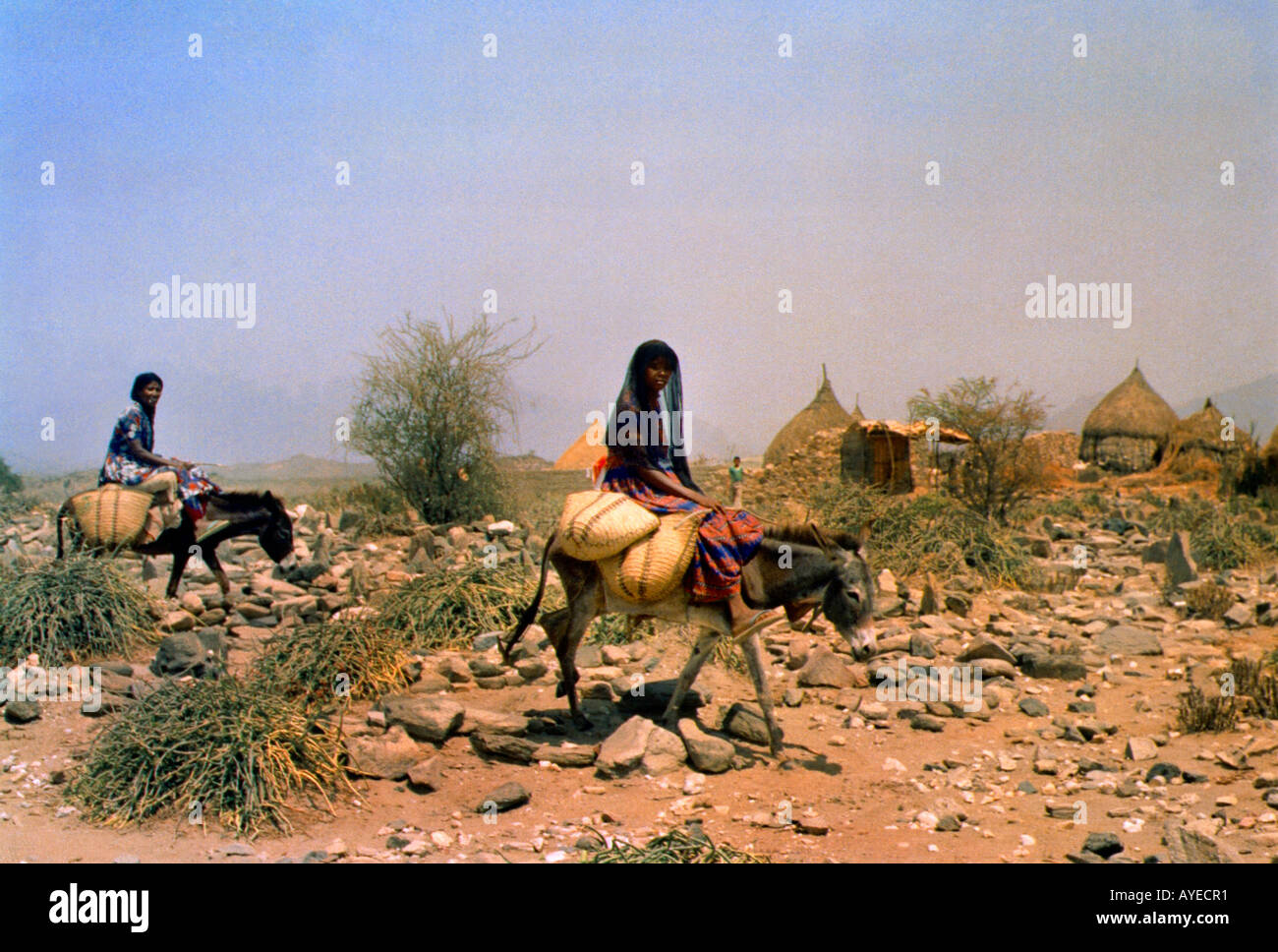 Tihama Saudi Arabia Bedouin Women On Donkeys On Way To Abu Arish Market ...