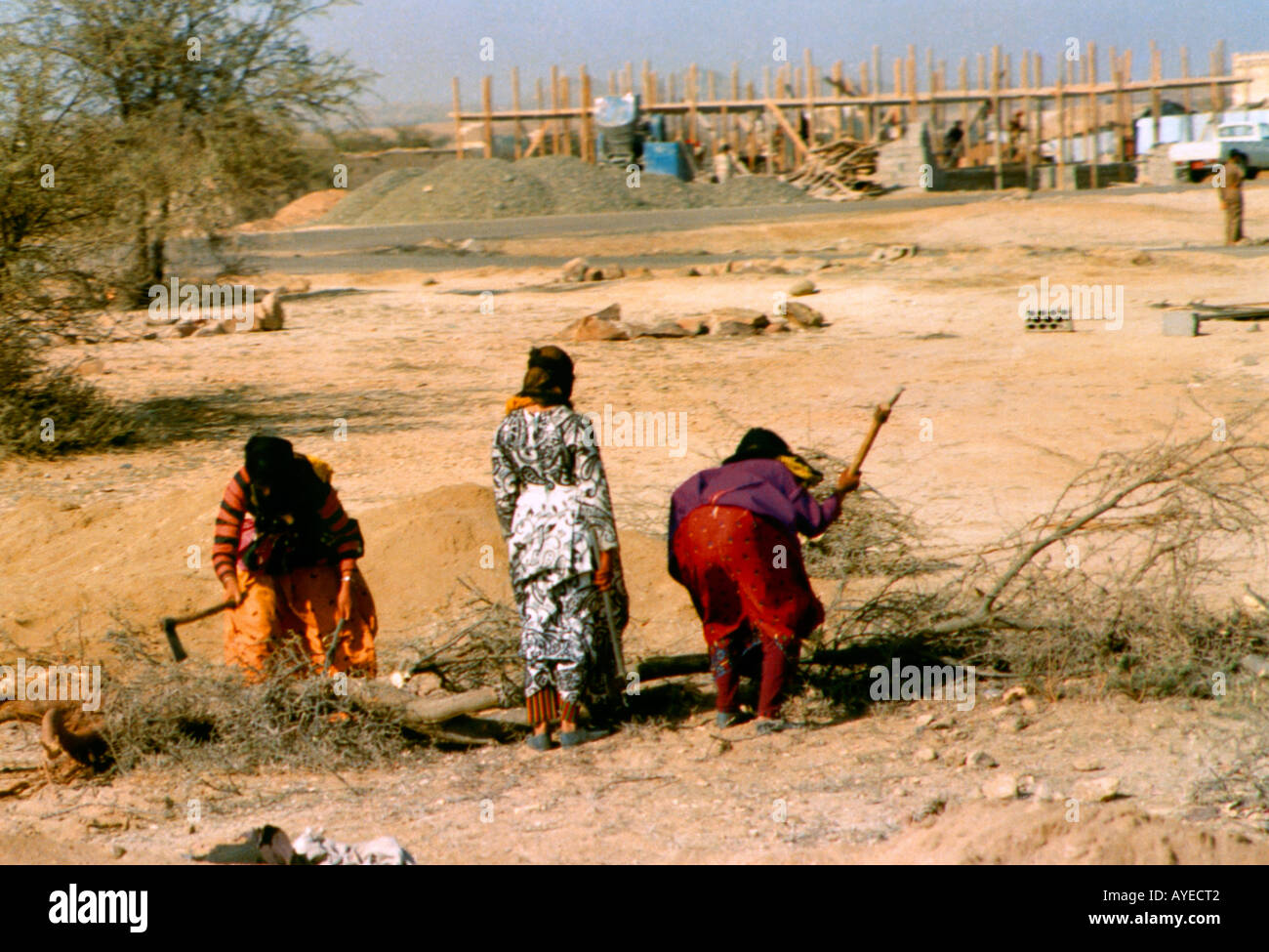 Gizan Saudi Arabia Bedouin Women Clearing Building Site Stock Photo - Alamy