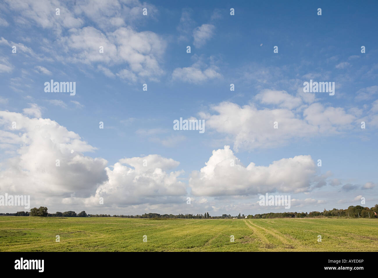 Field and sky Stock Photo - Alamy