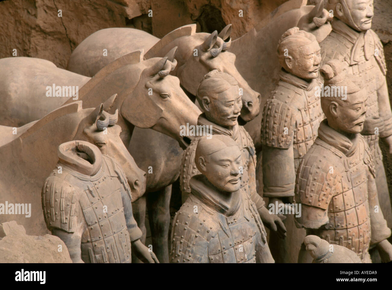 The Army of terra cotta warriors with horses at Emperor Qin Shihuangdi ...