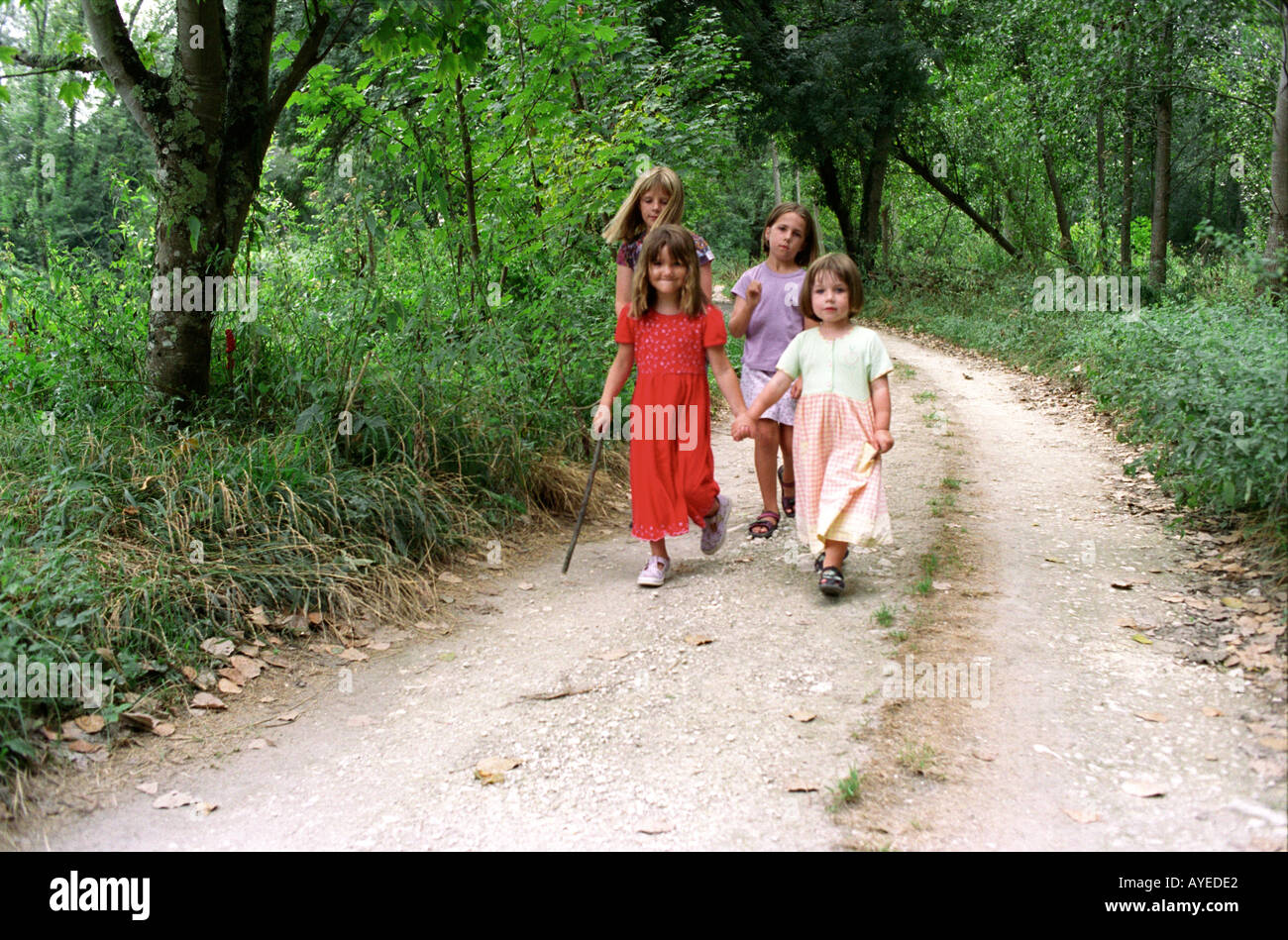 Four small girls walk down woodland path Stock Photo - Alamy