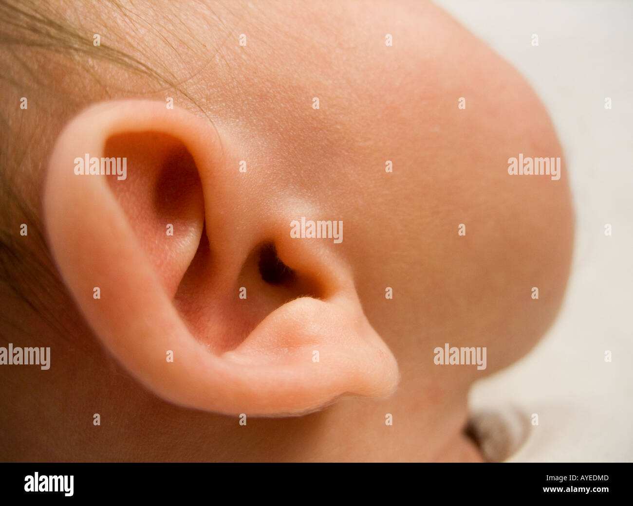 Ear child anatomy hi-res stock photography and images - Alamy