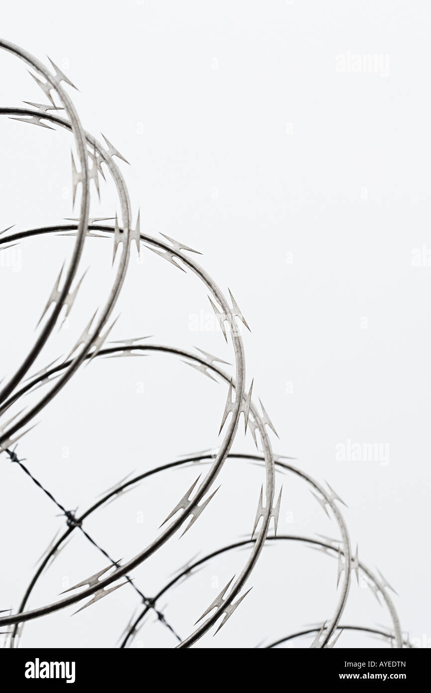 Barbed wire techniques hi-res stock photography and images - Alamy
