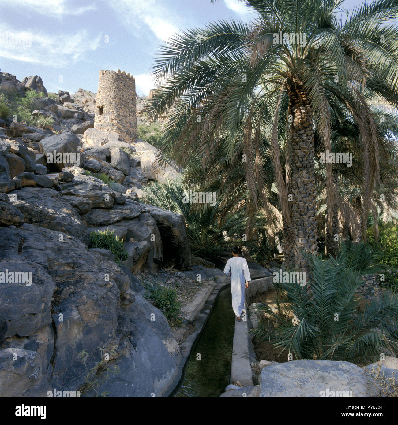 Omani gardener walks beside a falaj a traditional system of irrigation ...