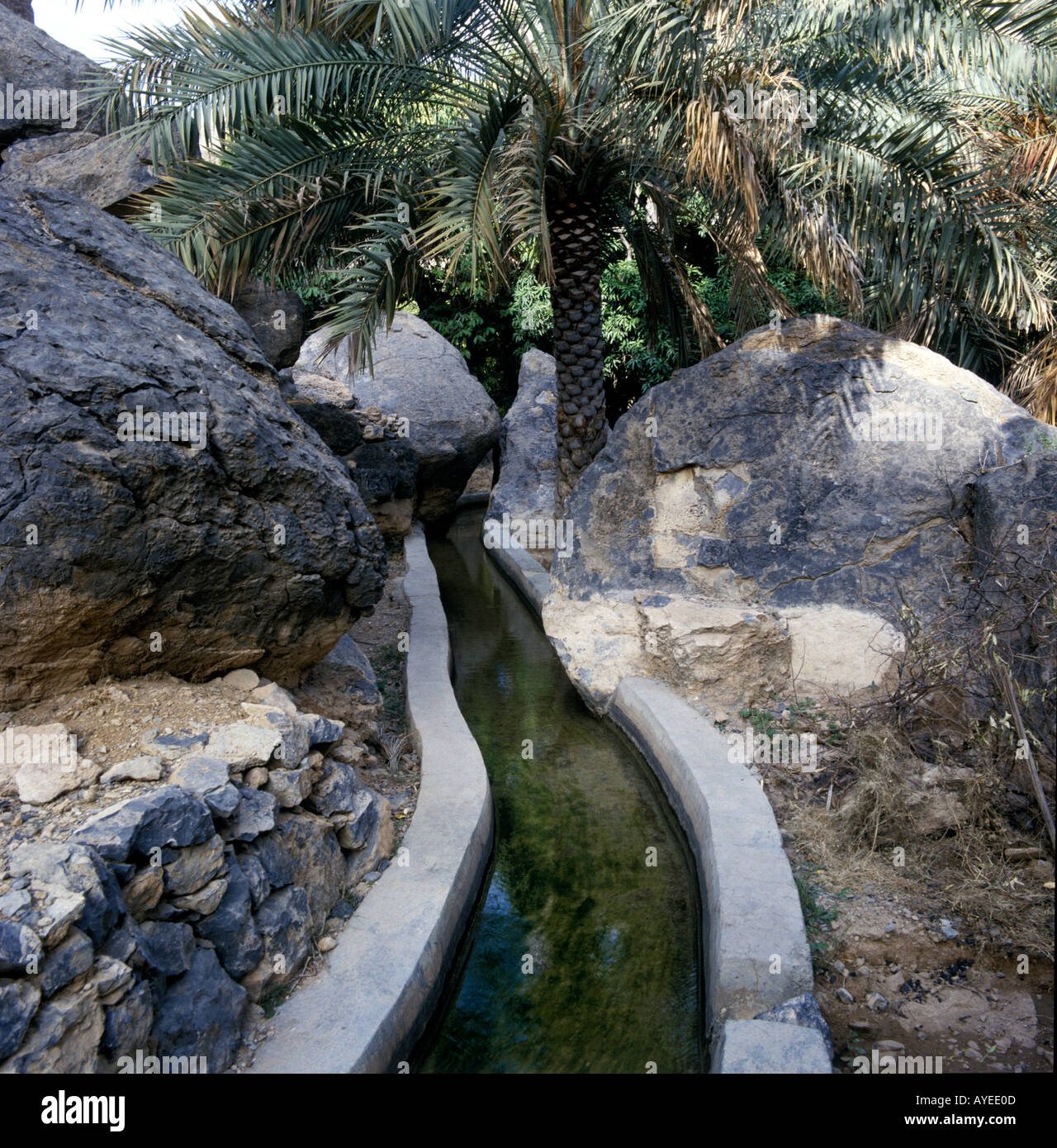 Omani falaj which is a trough to take water to gardens for irrigation ...