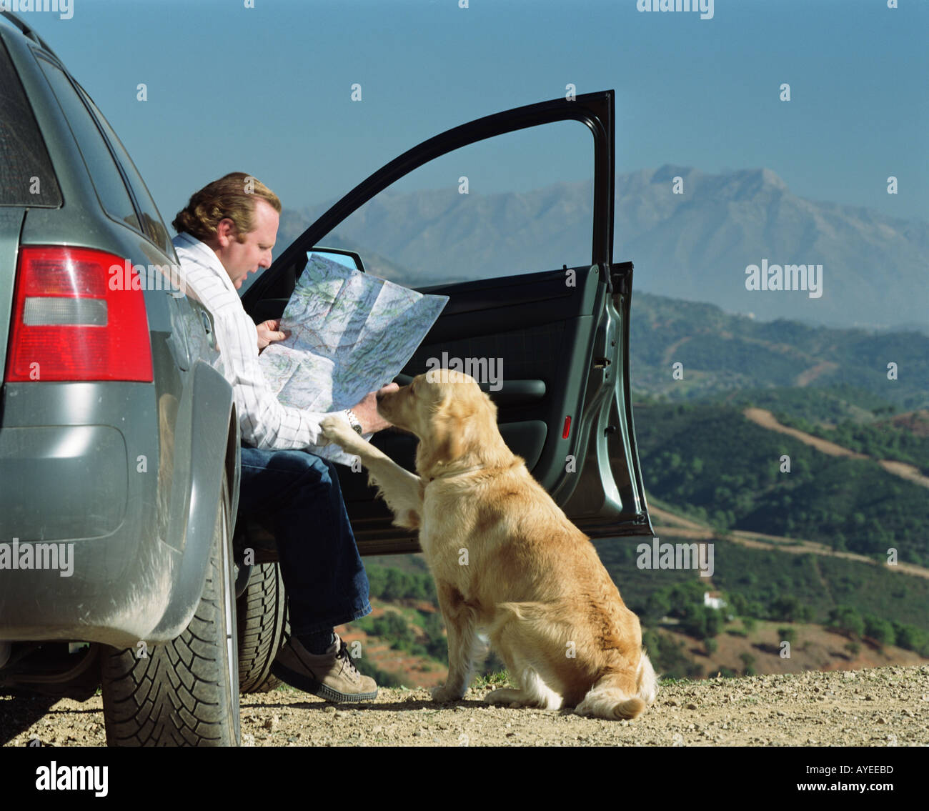 Dog reading map hi-res stock photography and images - Alamy