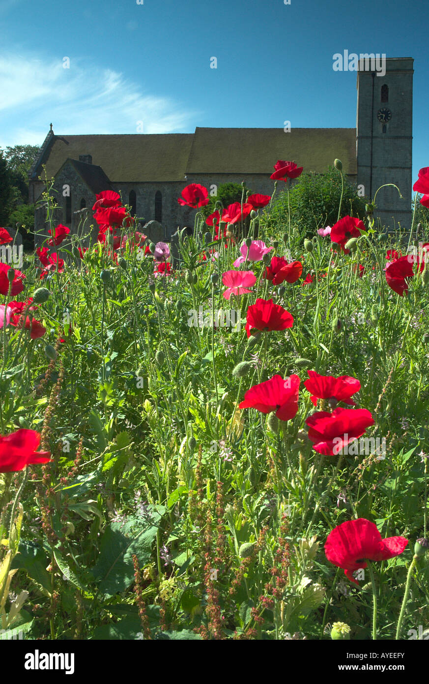 Squire old english hi-res stock photography and images - Alamy